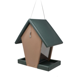 Bird Feeder Kit