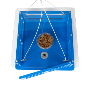 Bluebird Platform Feeder