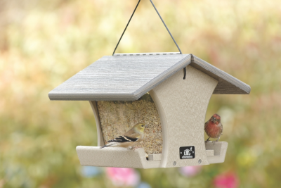 Bird Seed